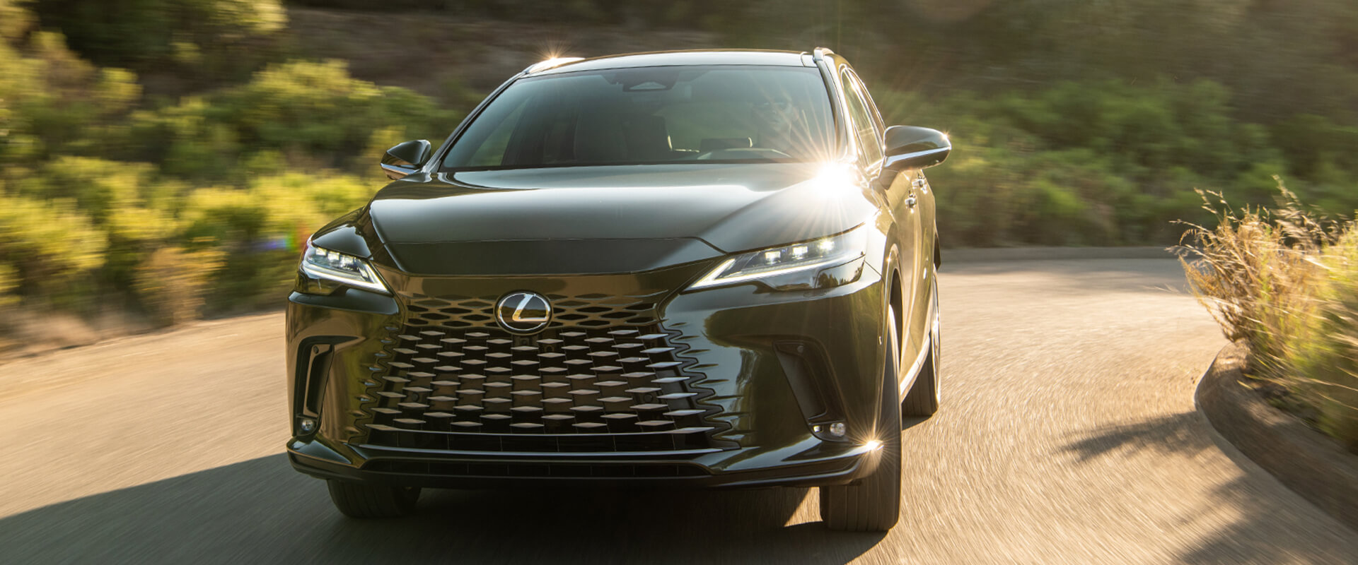 Lexus RX 350h Luxury | SUV | Crossover | Lexus