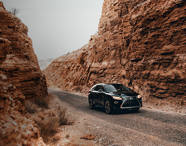 Luxury, Performance and Hybrid Vehicles & SUVs | Lexus Bolivia