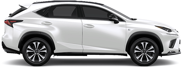 The F Marque | Lexus Brazil