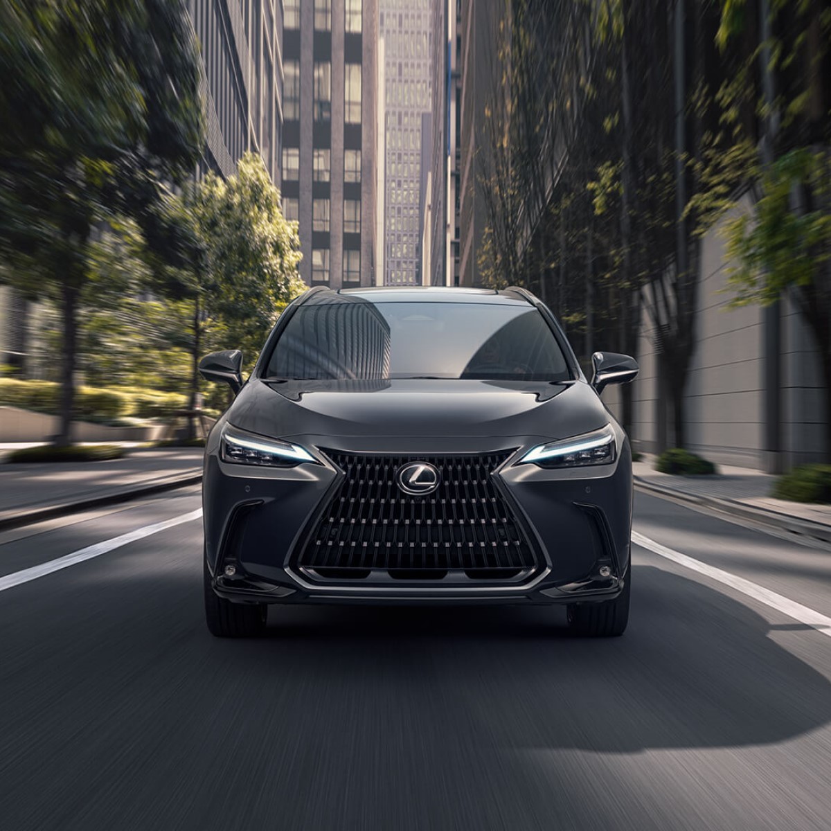 Lexus Argentina | Luxury & Hybrid Cars | Experience Amazing