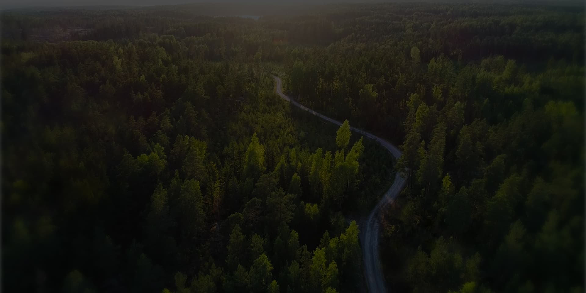 Plug-in Hybrid Electric Drive | Lexus (Country)